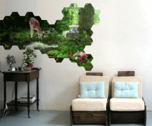 CD and DVD Storage Cases, Shelfsm Racks and More...Interior Design Ideas.