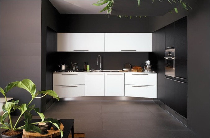 kitchen concealed inbuilt green | Interior Design Ideas