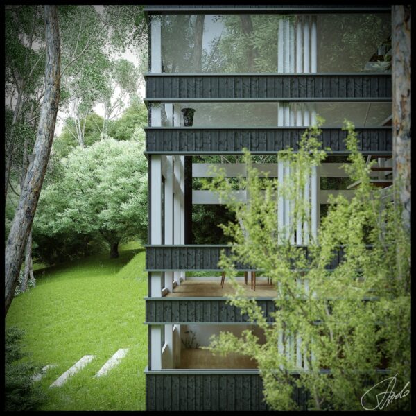 Japanese House in the Forest (Visualized)