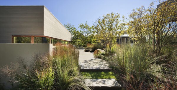 Innovative Landscape Design for Country and City Dwellings