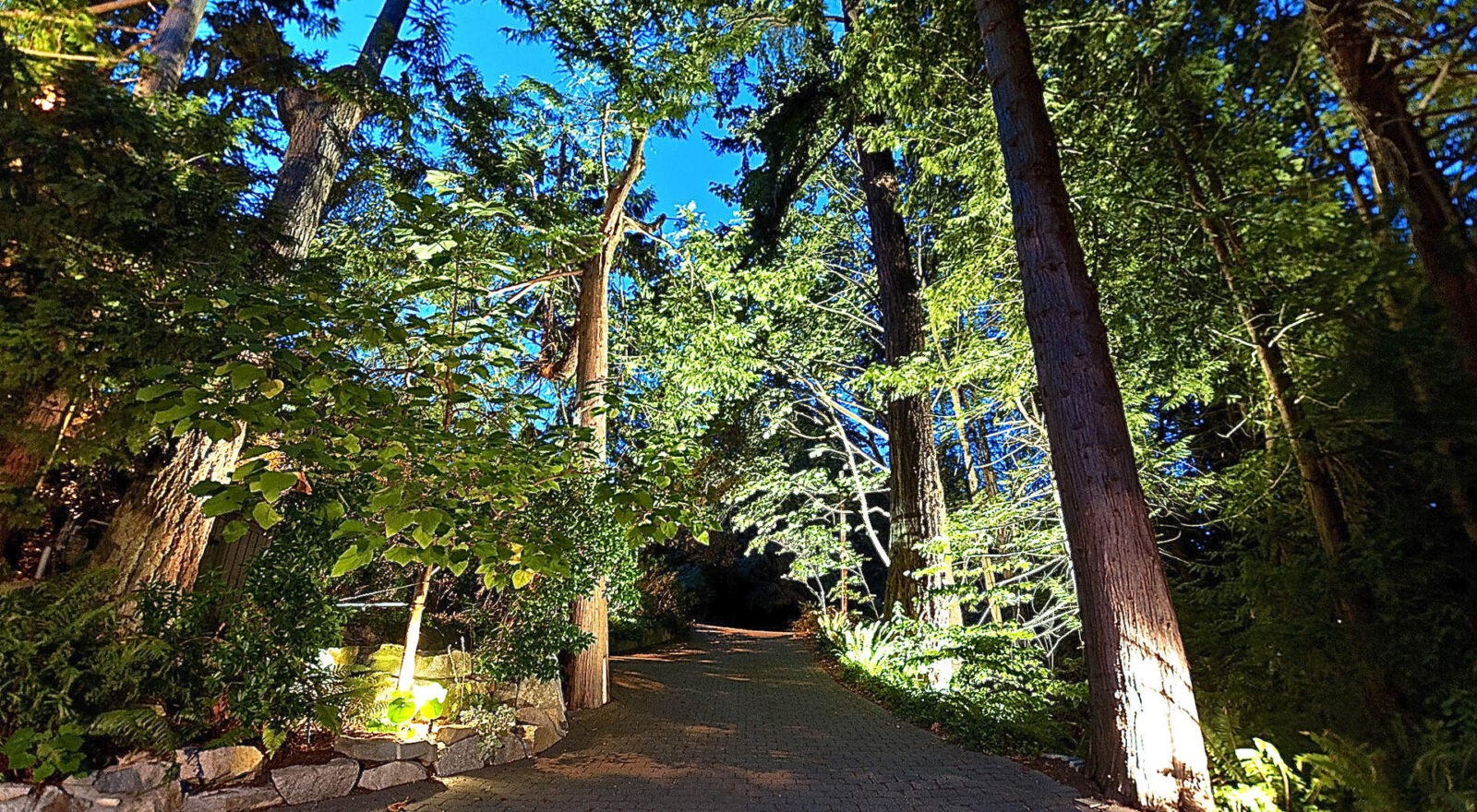 outdoor entry path | Interior Design Ideas