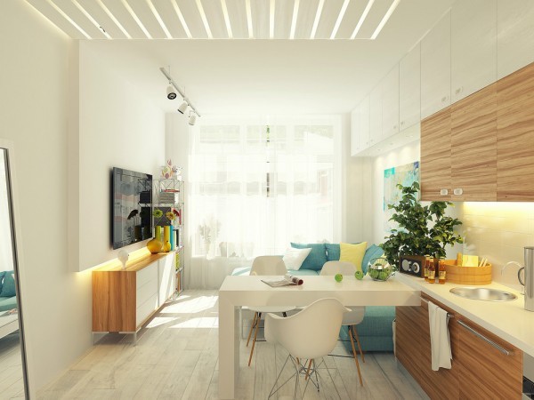 Small 29 square meter (312 sq ft) Apartment Design
