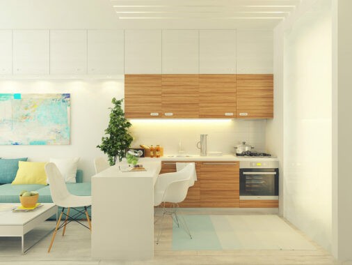 Small 29 square meter (312 sq ft) Apartment Design