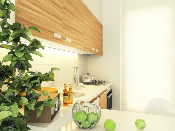 Small 29 square meter (312 sq ft) Apartment Design