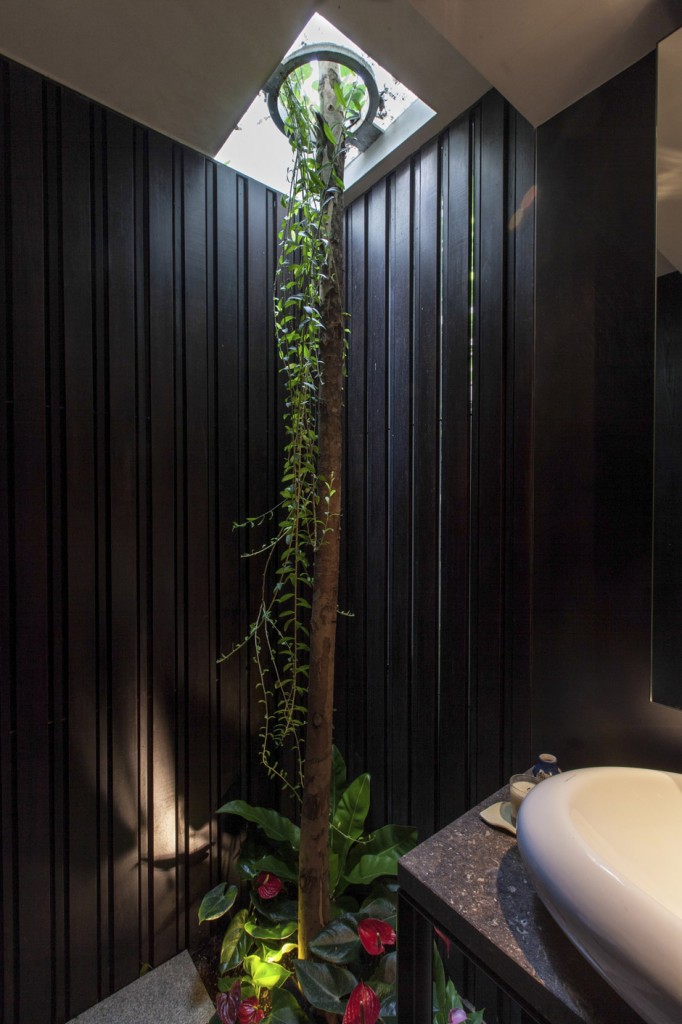 Indoor tree | Interior Design Ideas