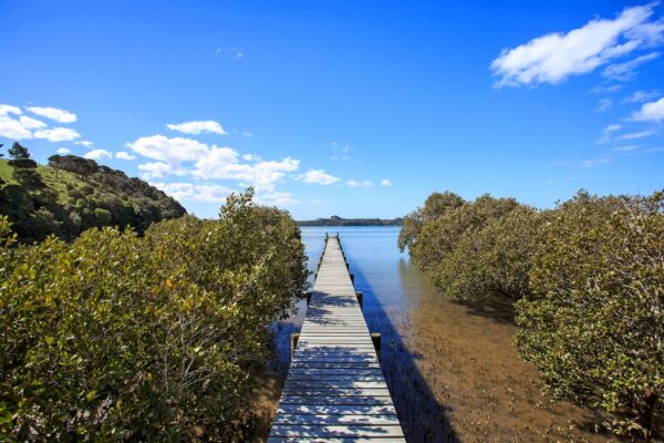 An Amazingly Beautiful Modern Waterfront House From New Zealand