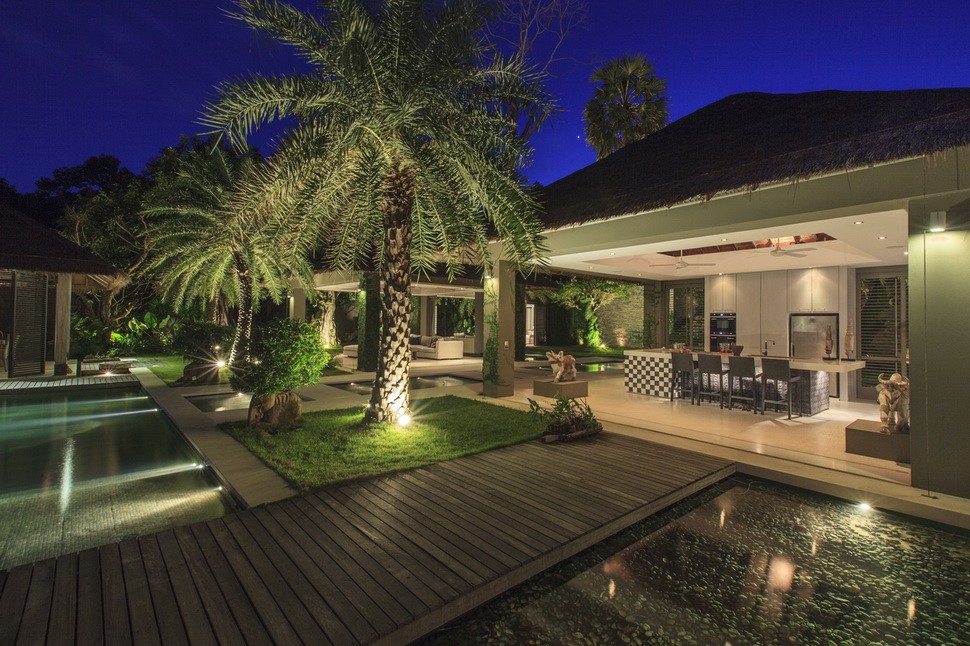 39 Palm trees | Interior Design Ideas