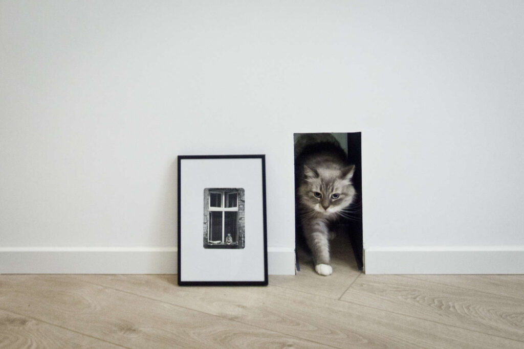 An Old Attic is Transformed into a Gorgeous Apartment