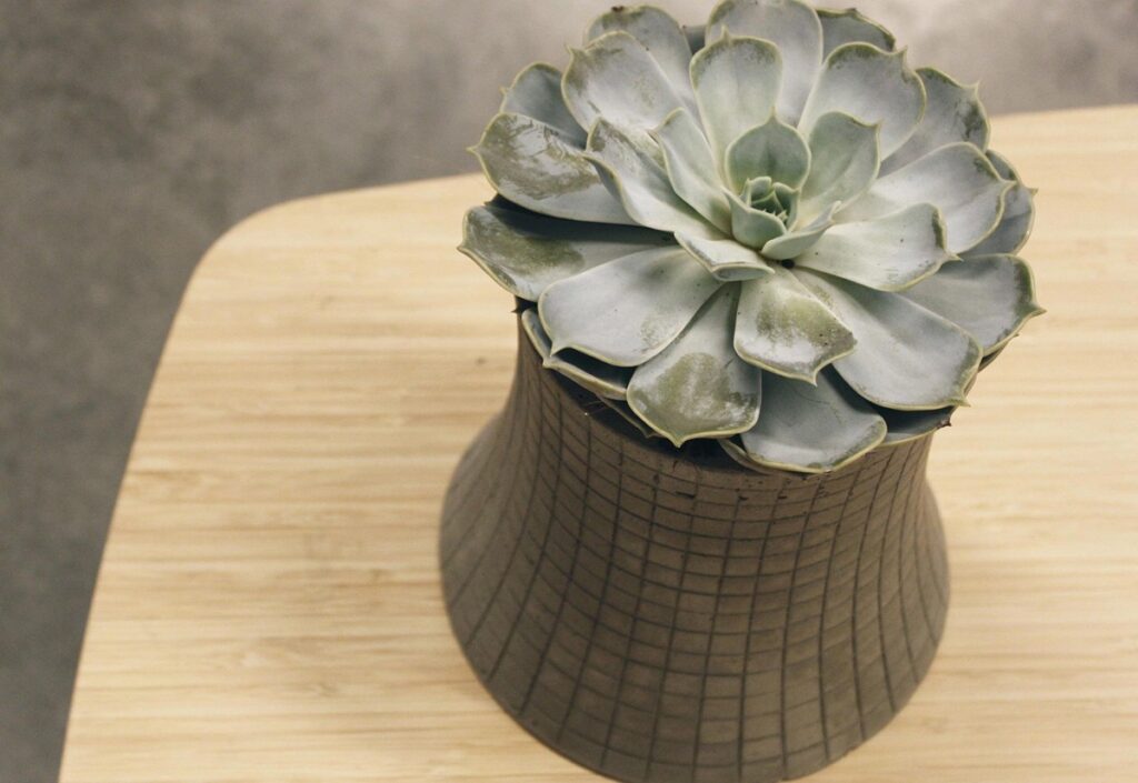50 Unique Pots & Planters You Can Buy Right Now