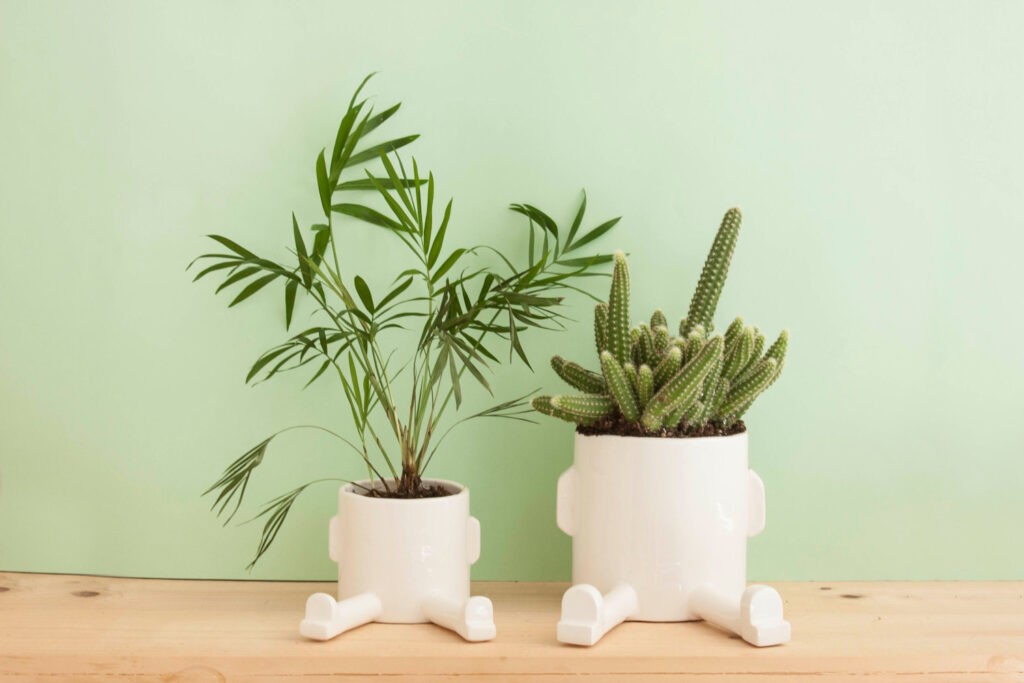 50 Unique Pots & Planters You Can Buy Right Now