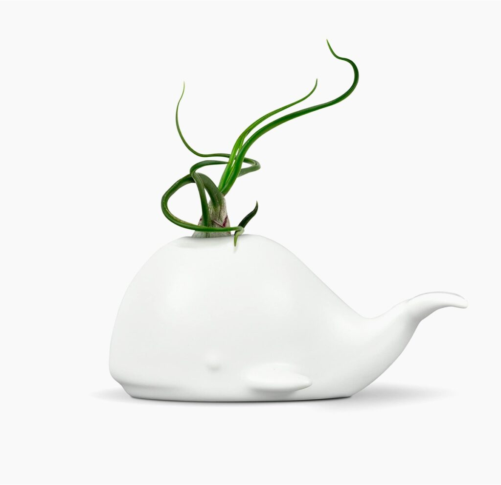 51 Unique Decorative Vases To Beautify Your Home