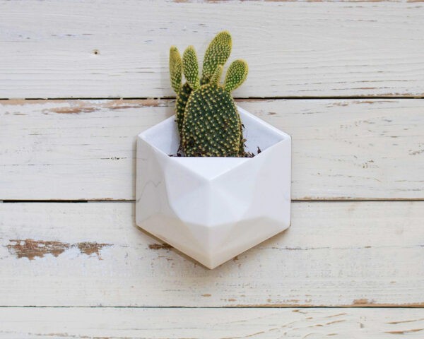 30 Unique Hanging Planters To Help You Go Green