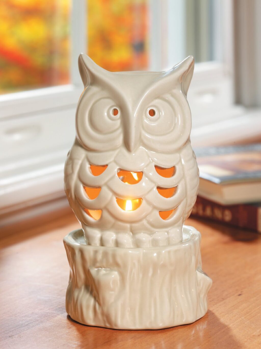50 Owl Home Decor Items Every Owl Lover Should Have