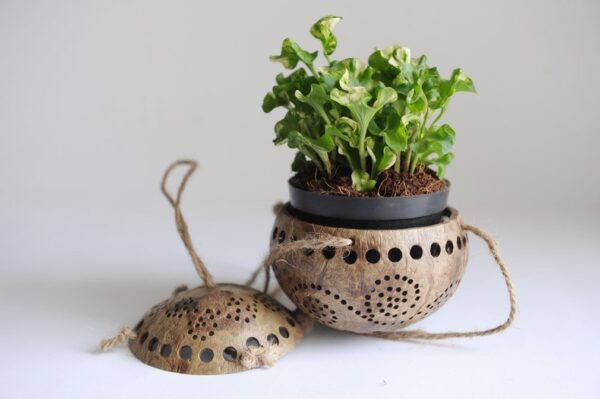 30 Unique Hanging Planters To Help You Go Green