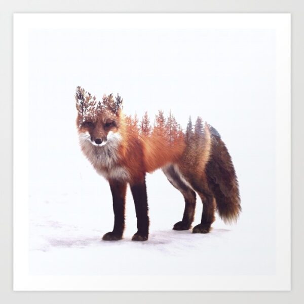 50 Amazing Art Prints Of Foxes For Your Walls