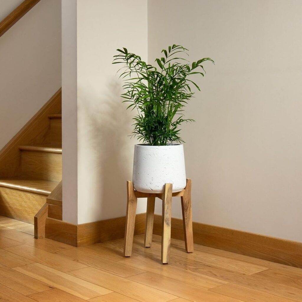 51 Beautiful Indoor House Plants That Are Also Easy To Maintain