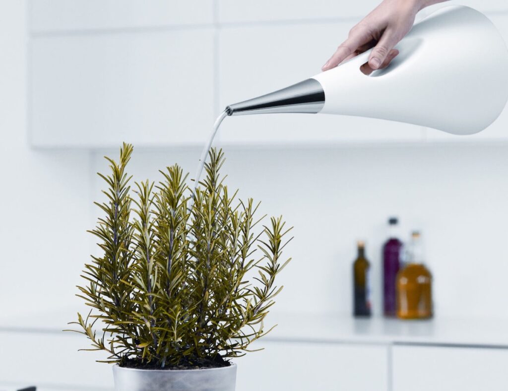 36 Unique Watering Cans That Also Serve As Decorative Items