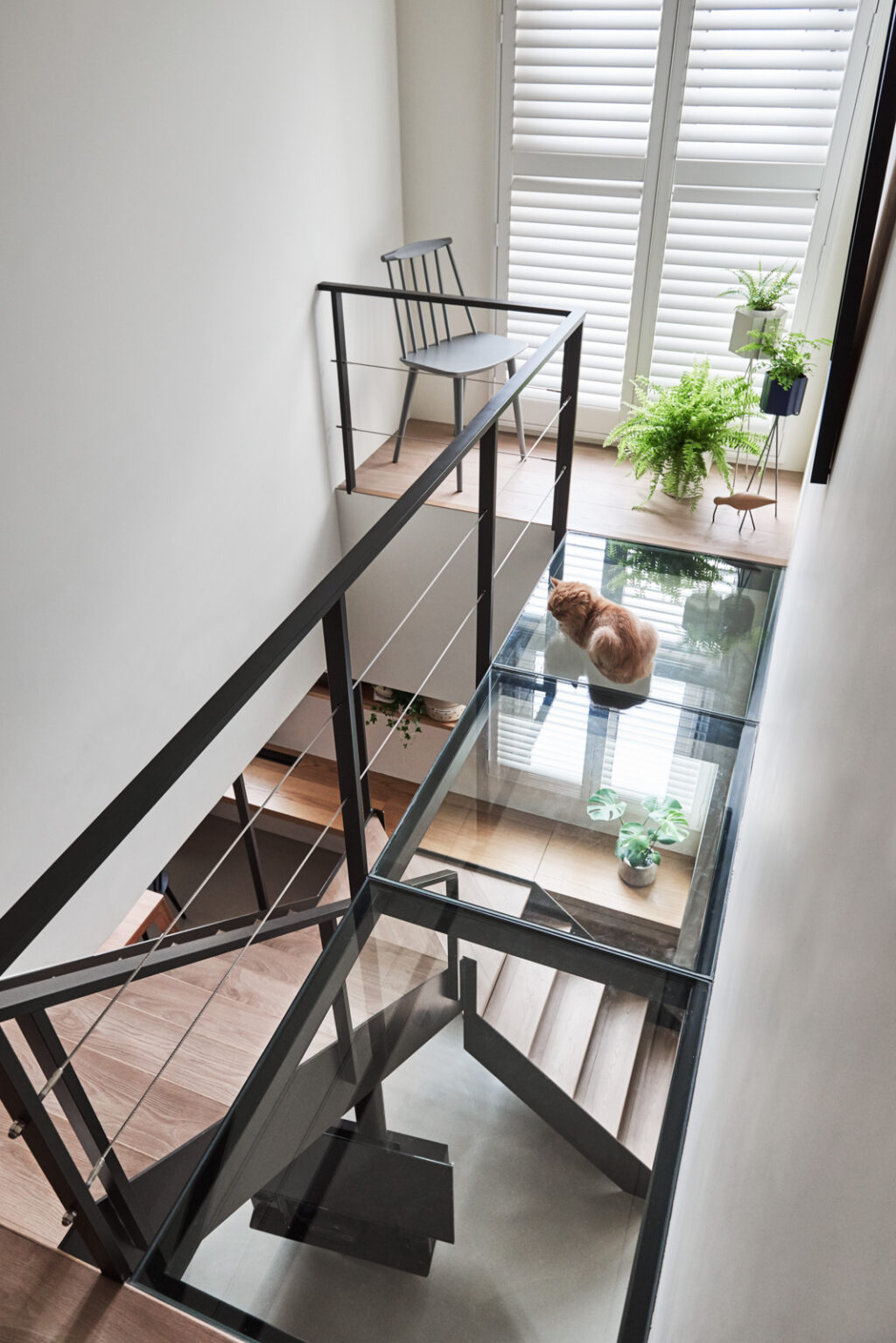 indoor ferns | Interior Design Ideas