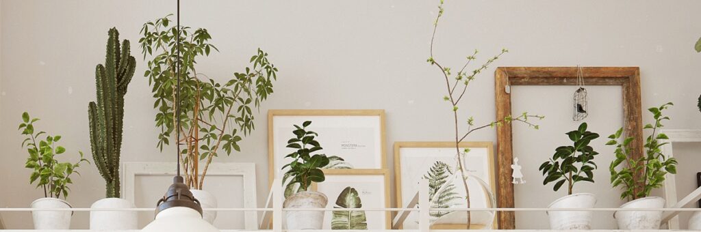 Botanical shelf display | Interior Design Ideas