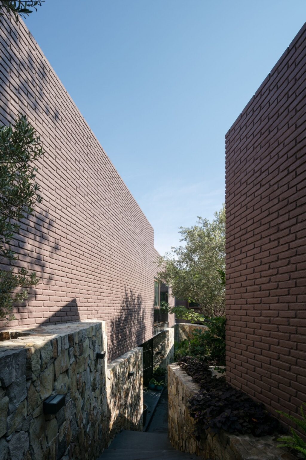 Modern Mexican Build With Tropical Gardens