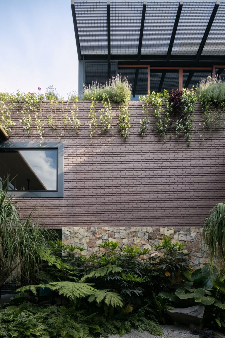 Modern Mexican Build With Tropical Gardens