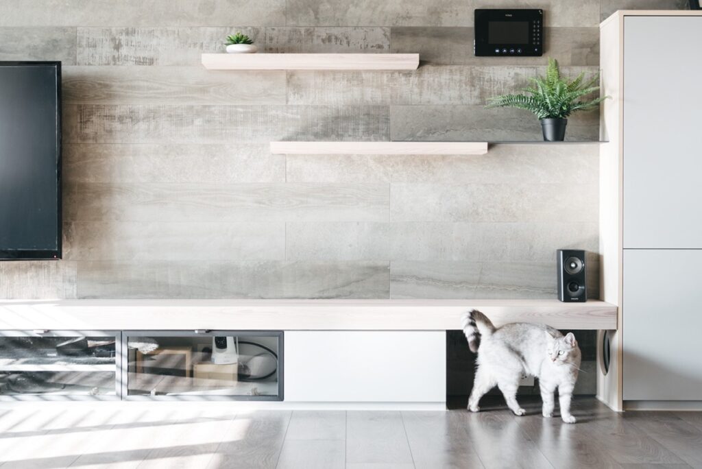 How To Make A Cat Happy: Cat Friendly Home Design