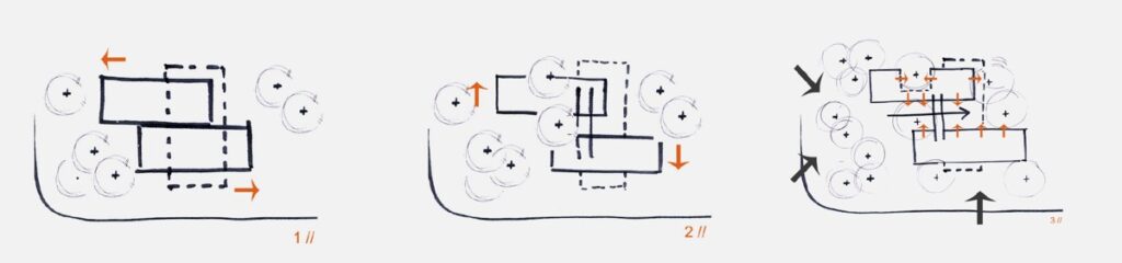 Shiny New Miami Mansion Under A Canopy Of Oak Trees