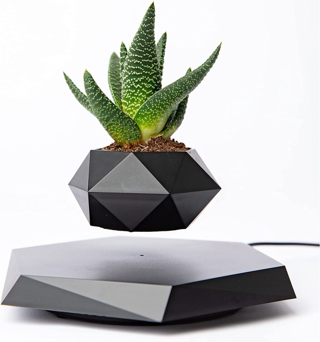 Levitating Succulent Planter | Interior Design Ideas