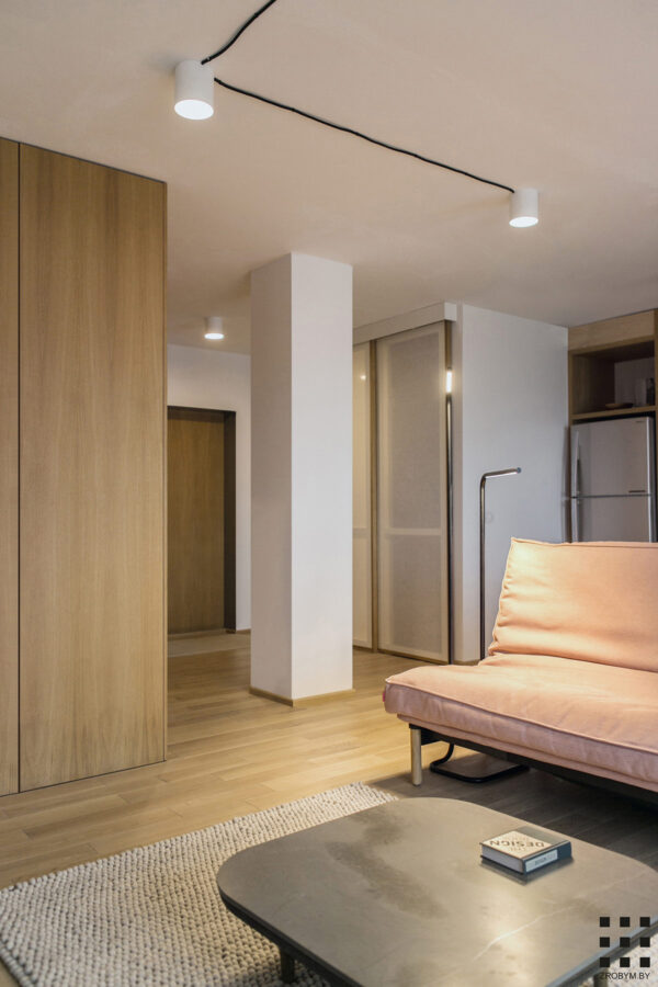 Pink And Wood Decor Studio Apartment [With Video Tour]