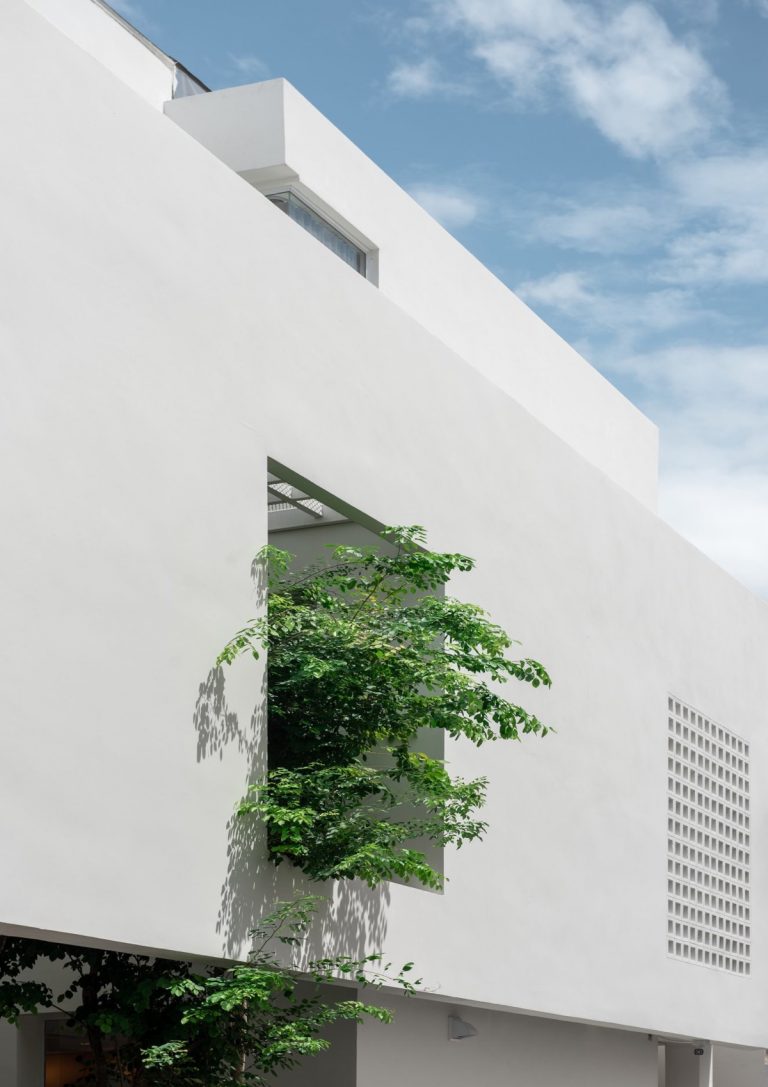 architecture with trees | Interior Design Ideas