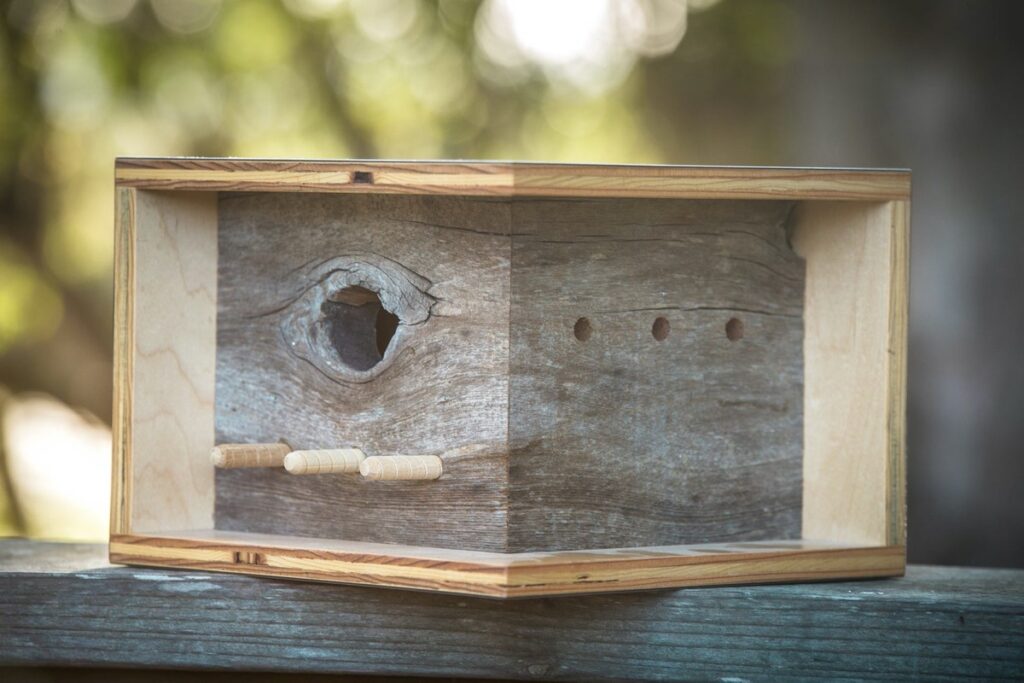 Architecturally Inspired Mid Century Modern Style Bird Houses
