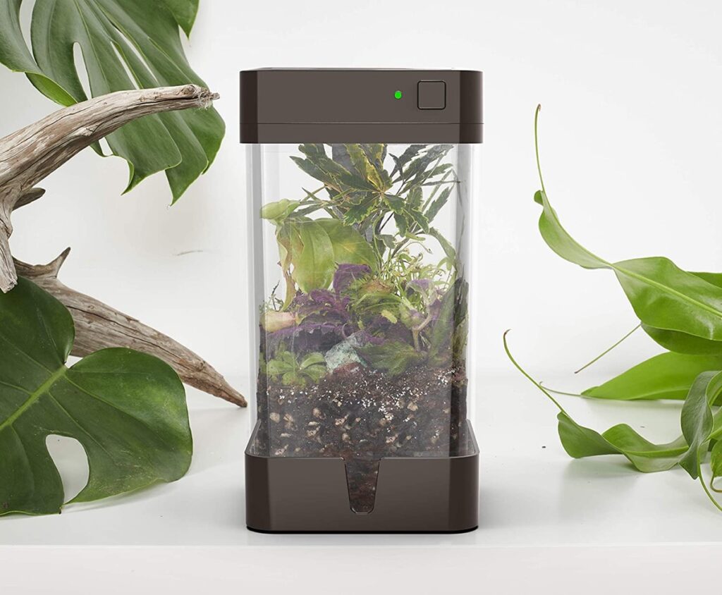 Product Of The Week: A Smart Terrarium
