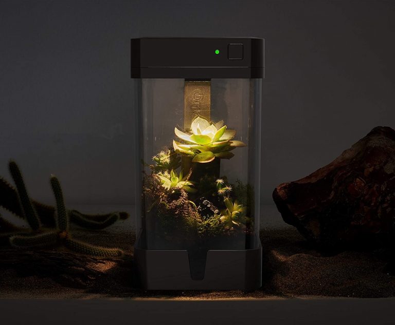 smart-led-terrarium | Interior Design Ideas