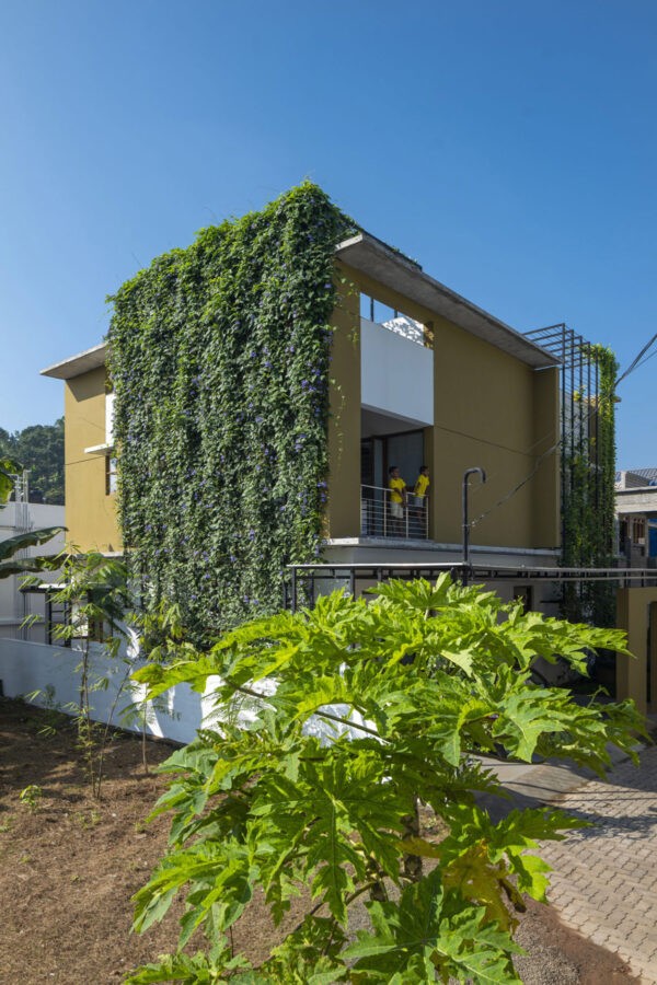 Beautiful Biophilic Home With Open Concept Living