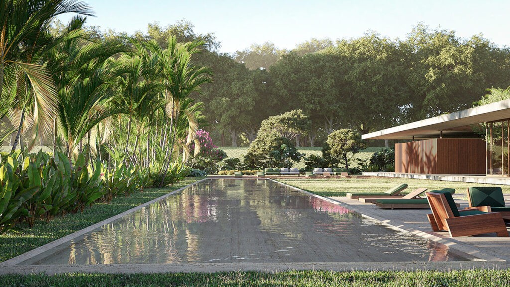 For The Love Of Linear Architecture