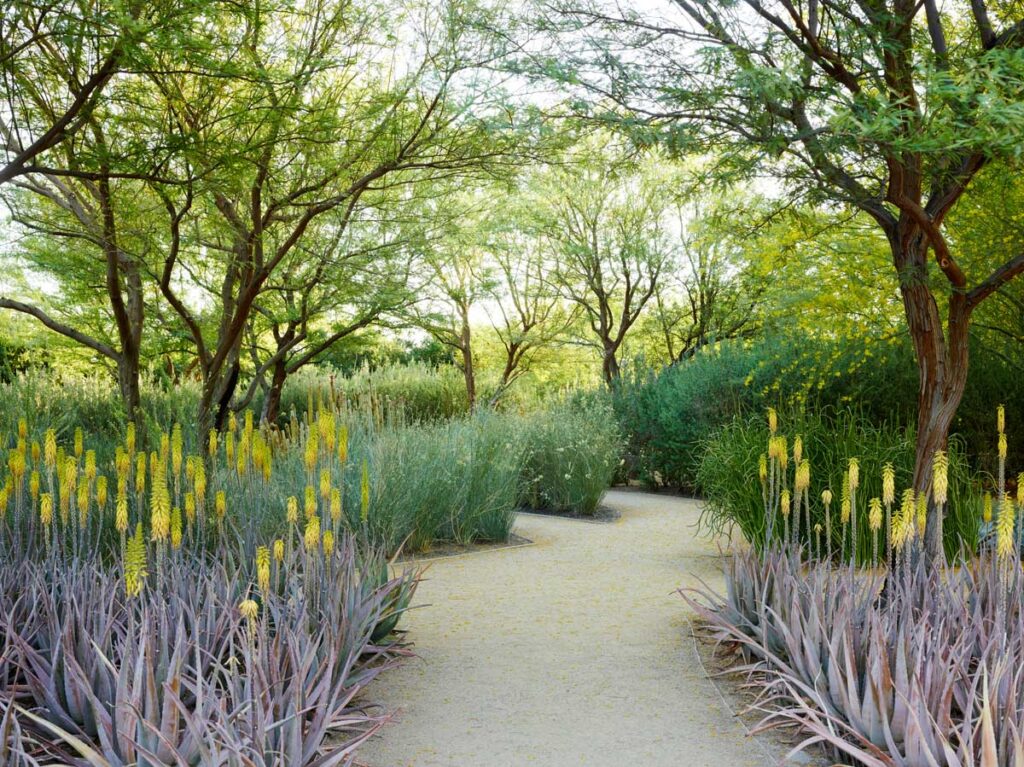 51 Modern Landscape Design Ideas That Make You Want To Live Outdoors