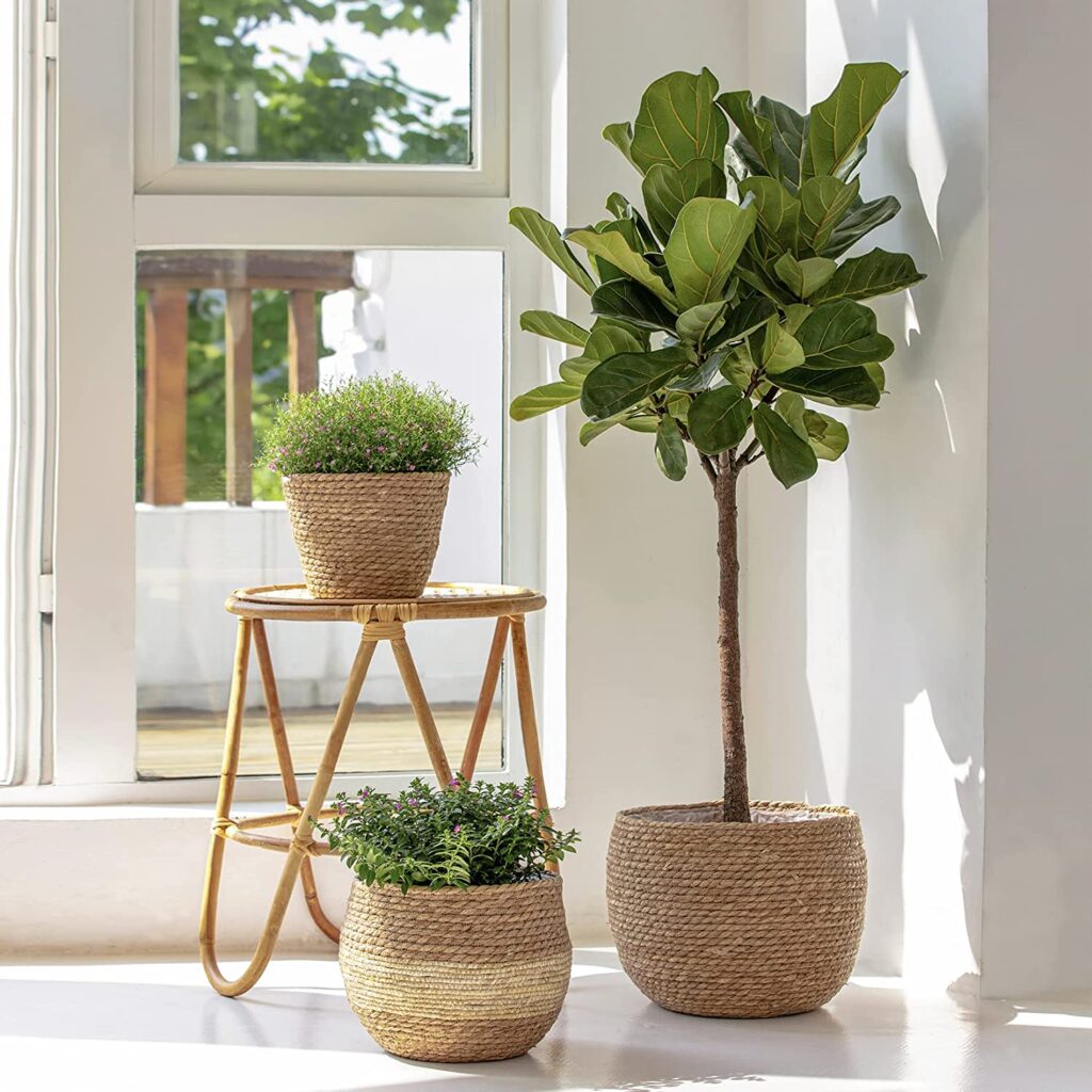 51 Large Planters to Upgrade Your Plant Game