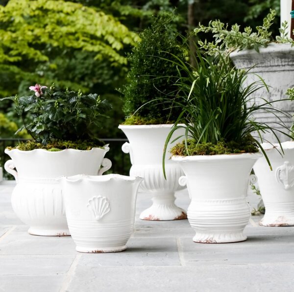 51 Large Planters to Upgrade Your Plant Game