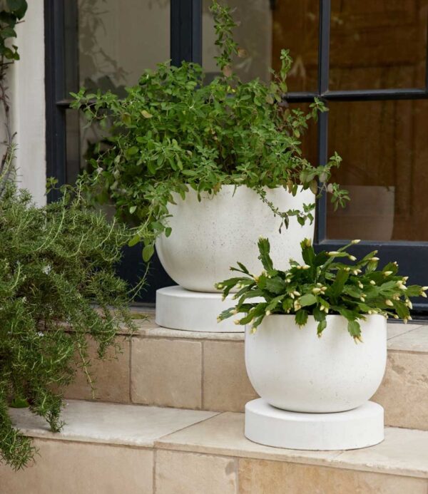 51 Large Planters to Upgrade Your Plant Game