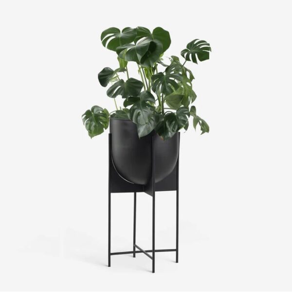 51 Large Planters to Upgrade Your Plant Game