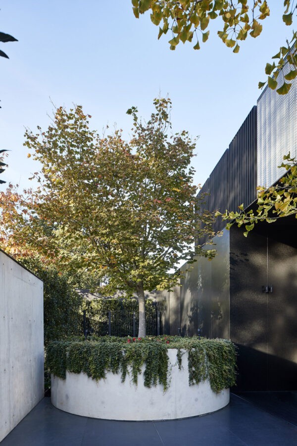 tree planter | Interior Design Ideas