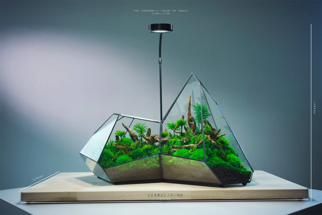 Maintenance-free Moss Terrariums