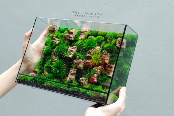 Moss Wall Terrarium | Interior Design Ideas