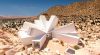 51 Shipping Container Homes That Will Change How You Think About Home ...