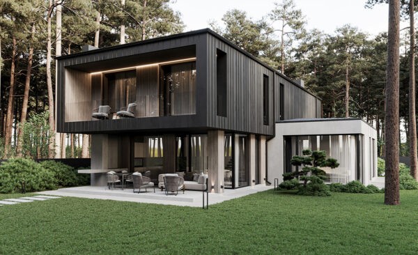 40 Black Houses That Showcase Bold Design Statements