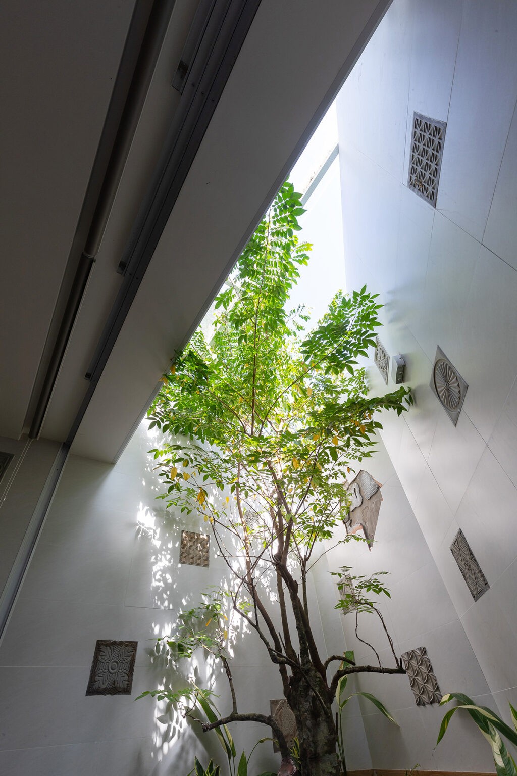 A Pixar Movie Inspired House Where Light, Space And Nature Converge