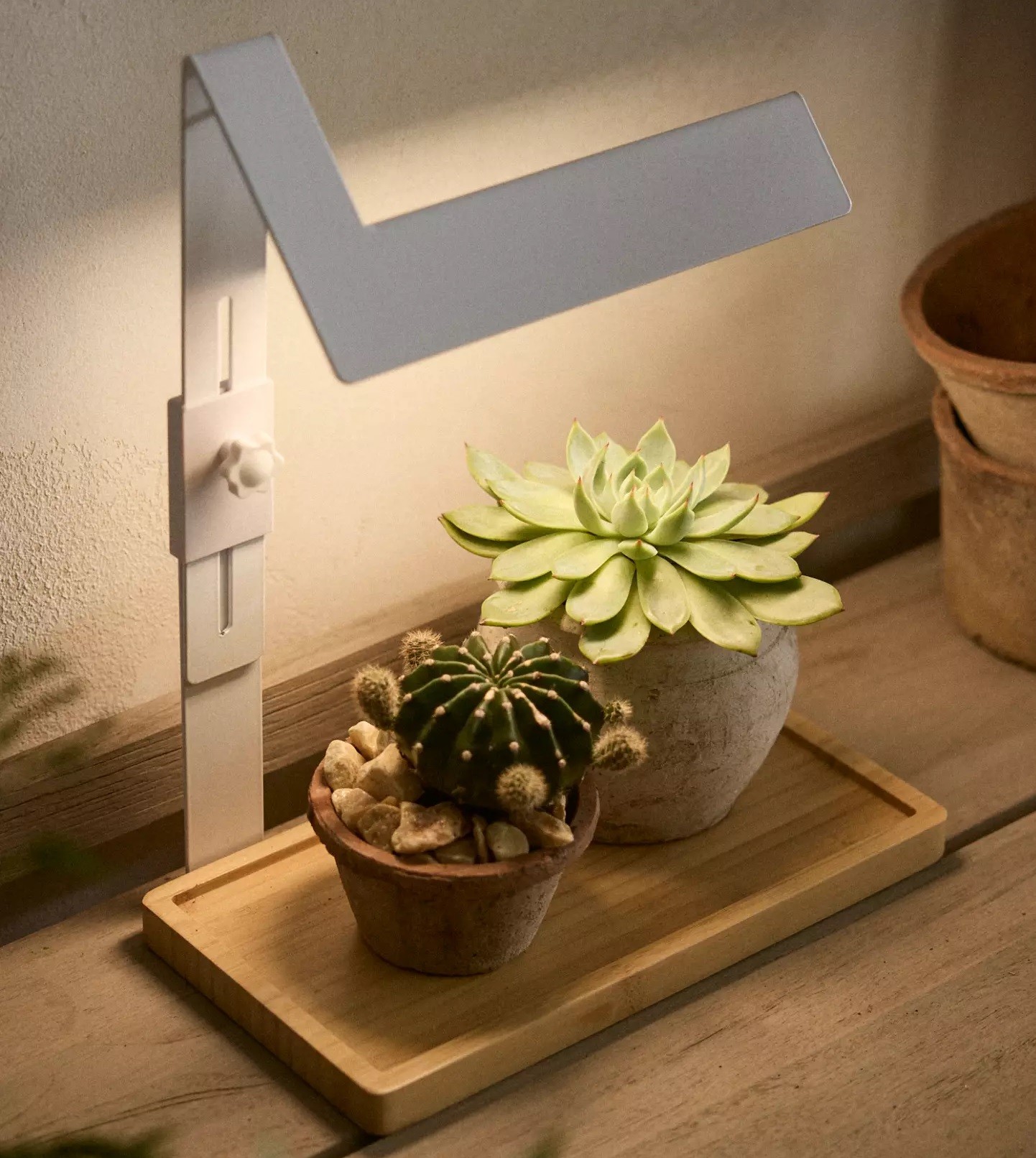 Product Of The Week: A Modern Grow Light with Bamboo Tray