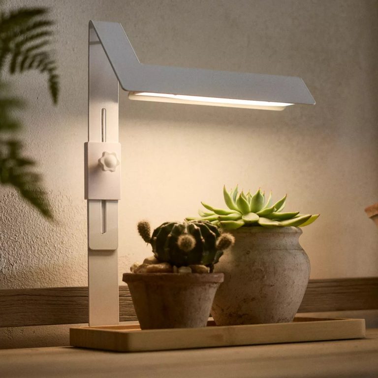 Product Of The Week: A Modern Grow Light with Bamboo Tray